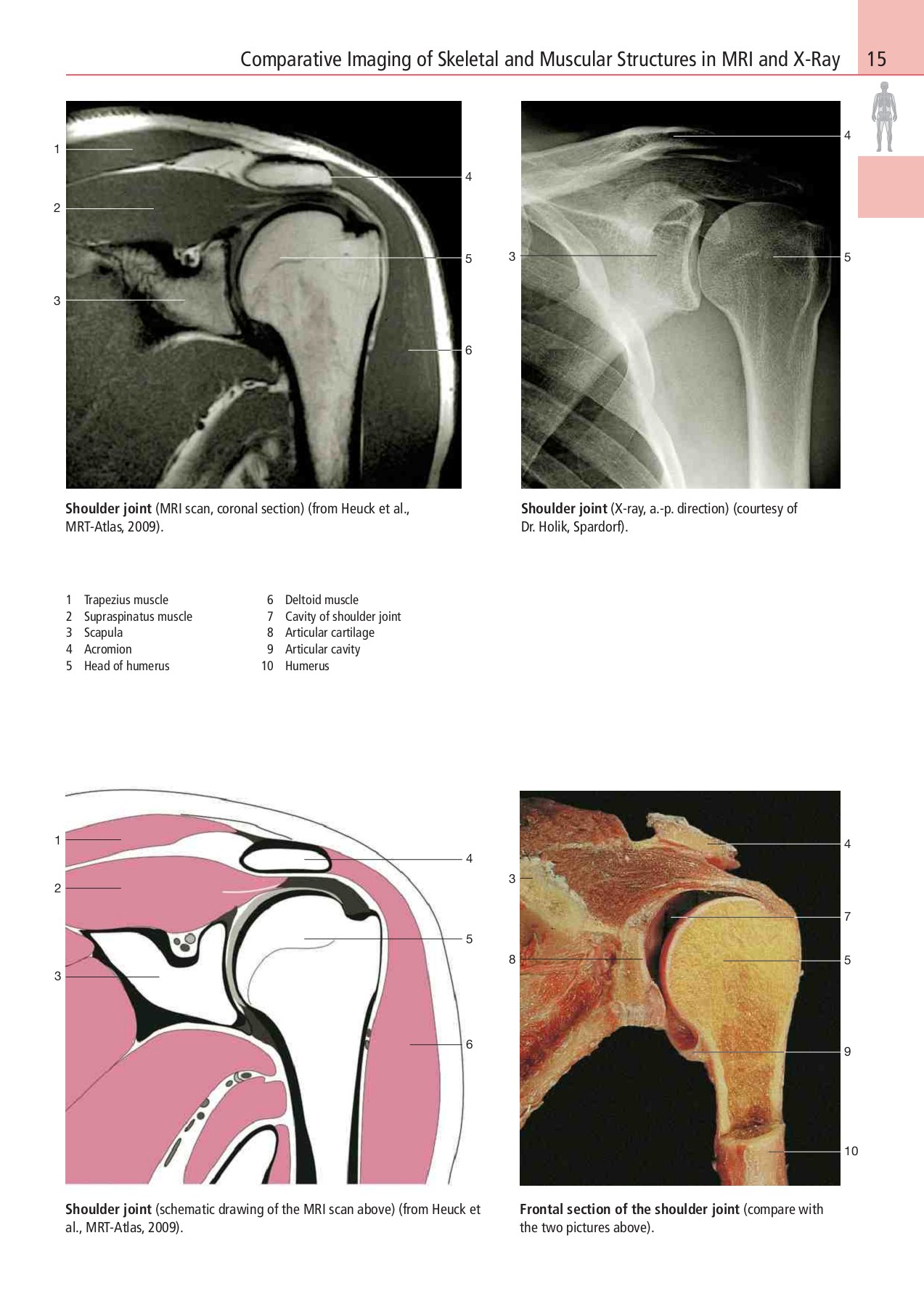 Color Atlas of Anatomy A Photographic Study of the Human Body 7th ...