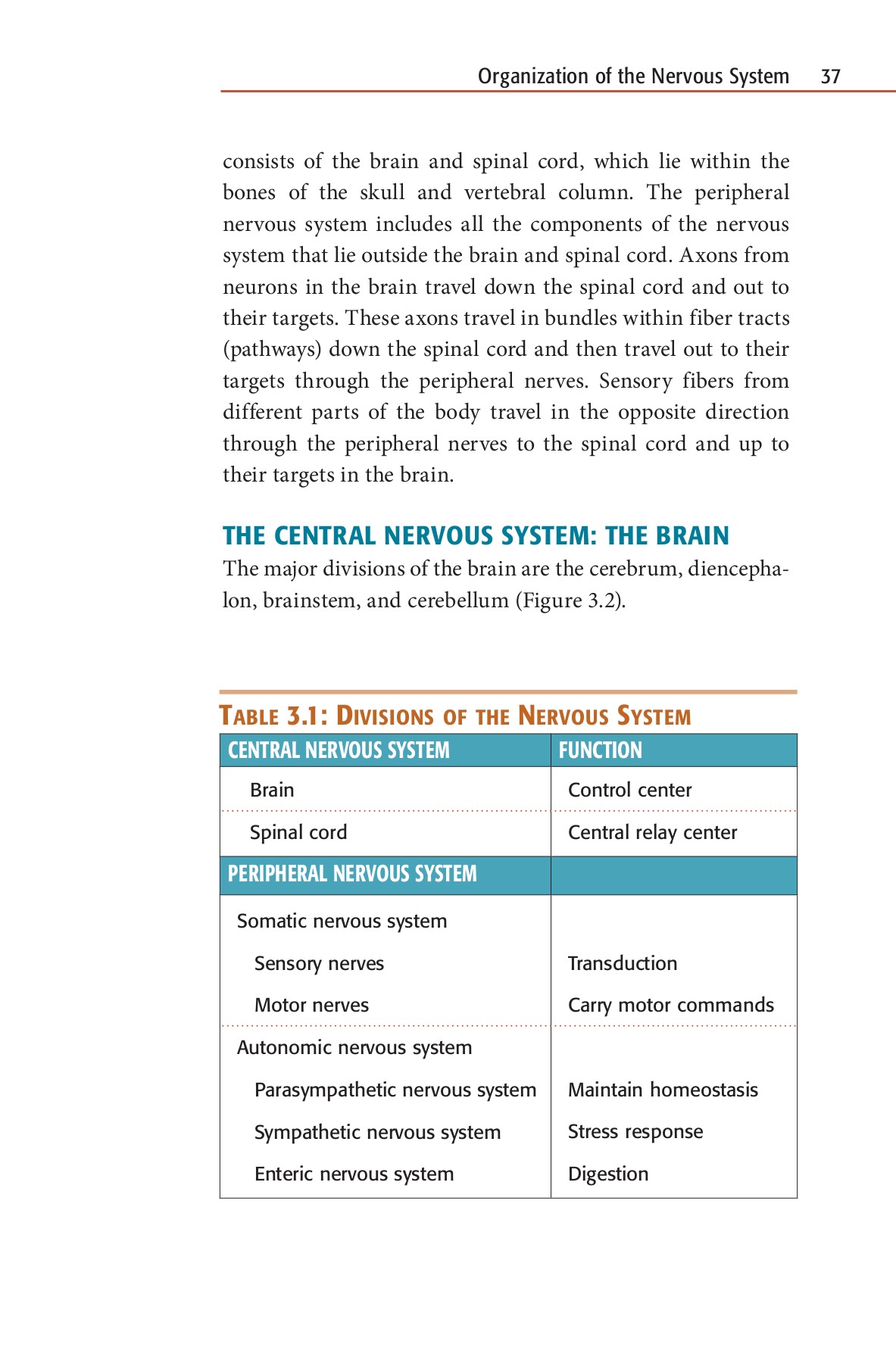 The Nervous System The Human Body How It Works - Horizon College of ...