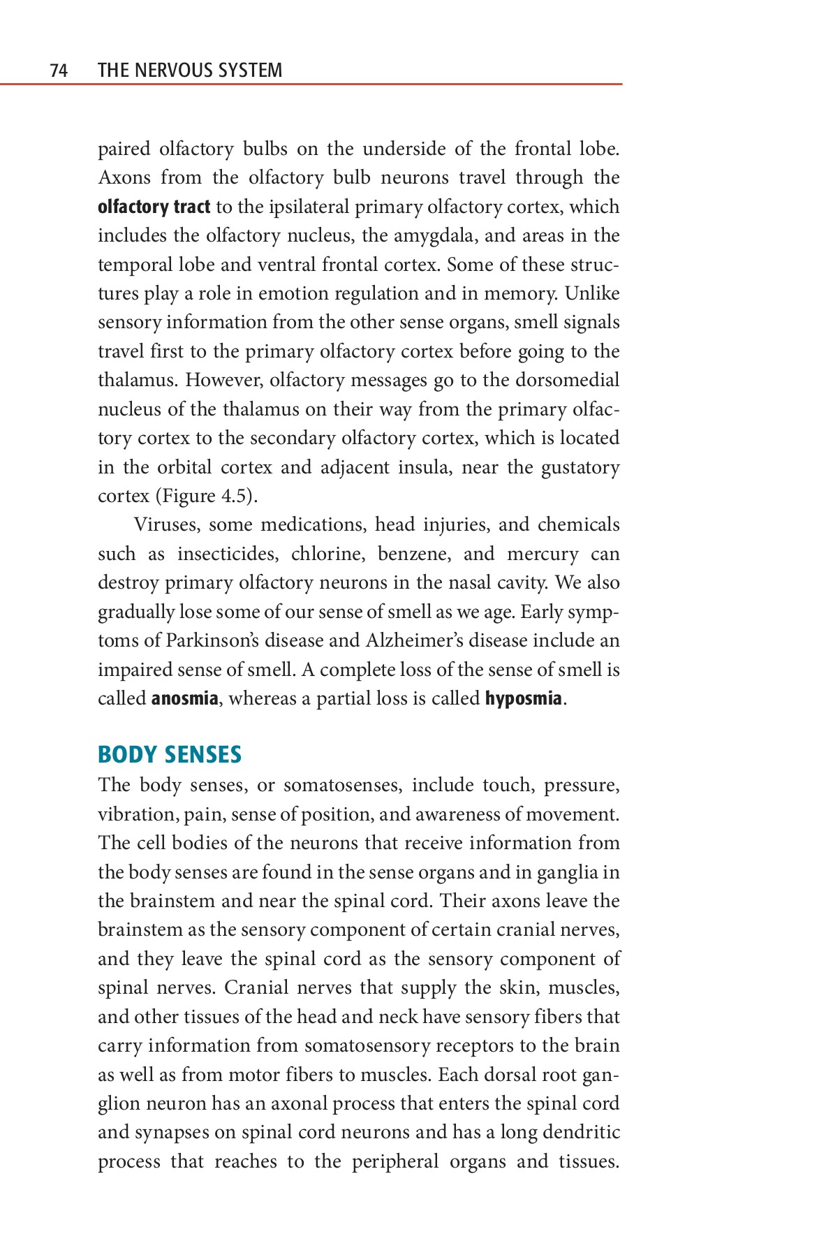 The Nervous System The Human Body How It Works - Horizon College of ...