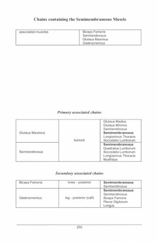 Myofascial muscle chains - Horizon College of Physiotherapy - Page 266 ...