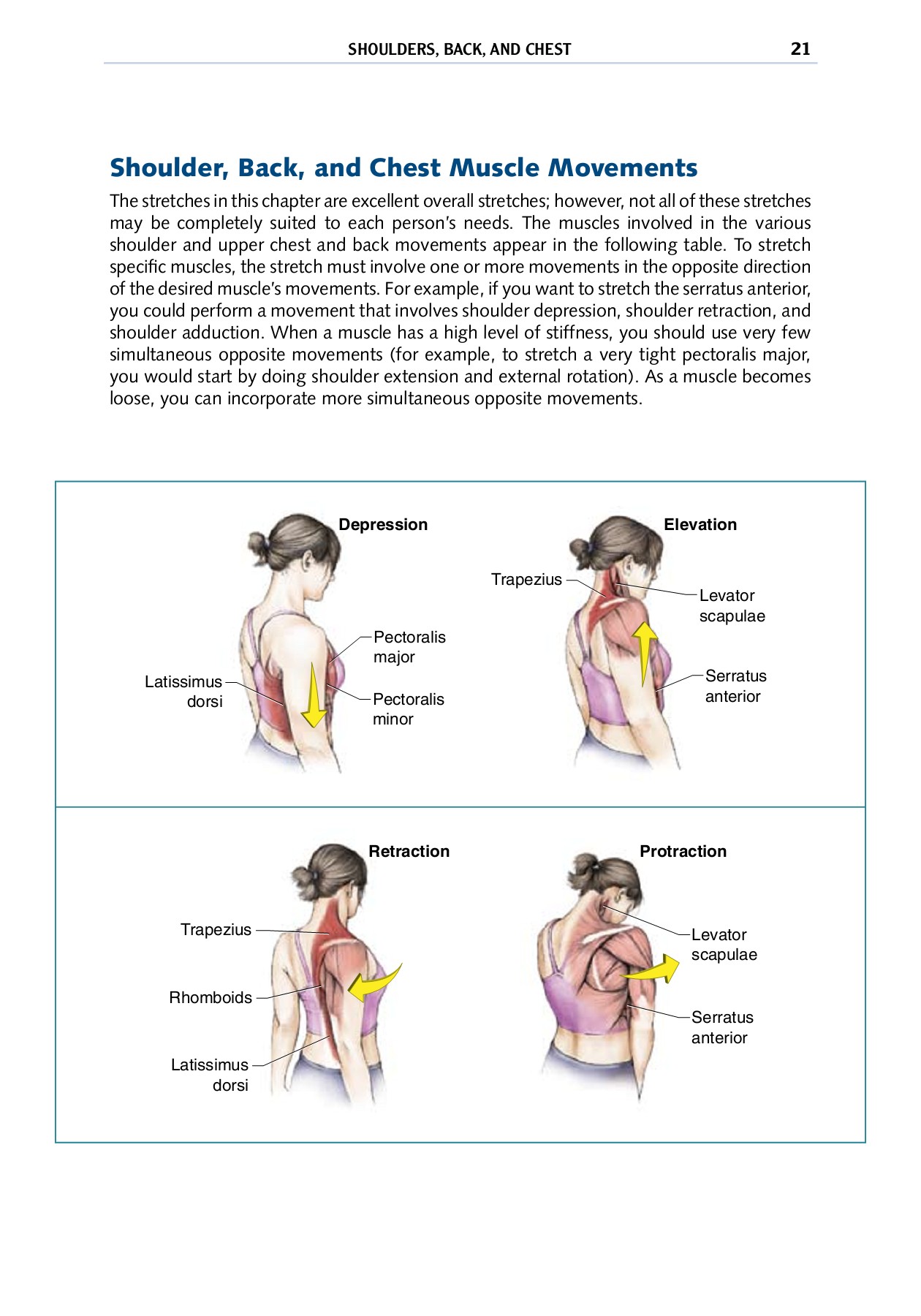 Stretching Anatomy - Horizon College of Physiotherapy - Page 33 | Flip ...