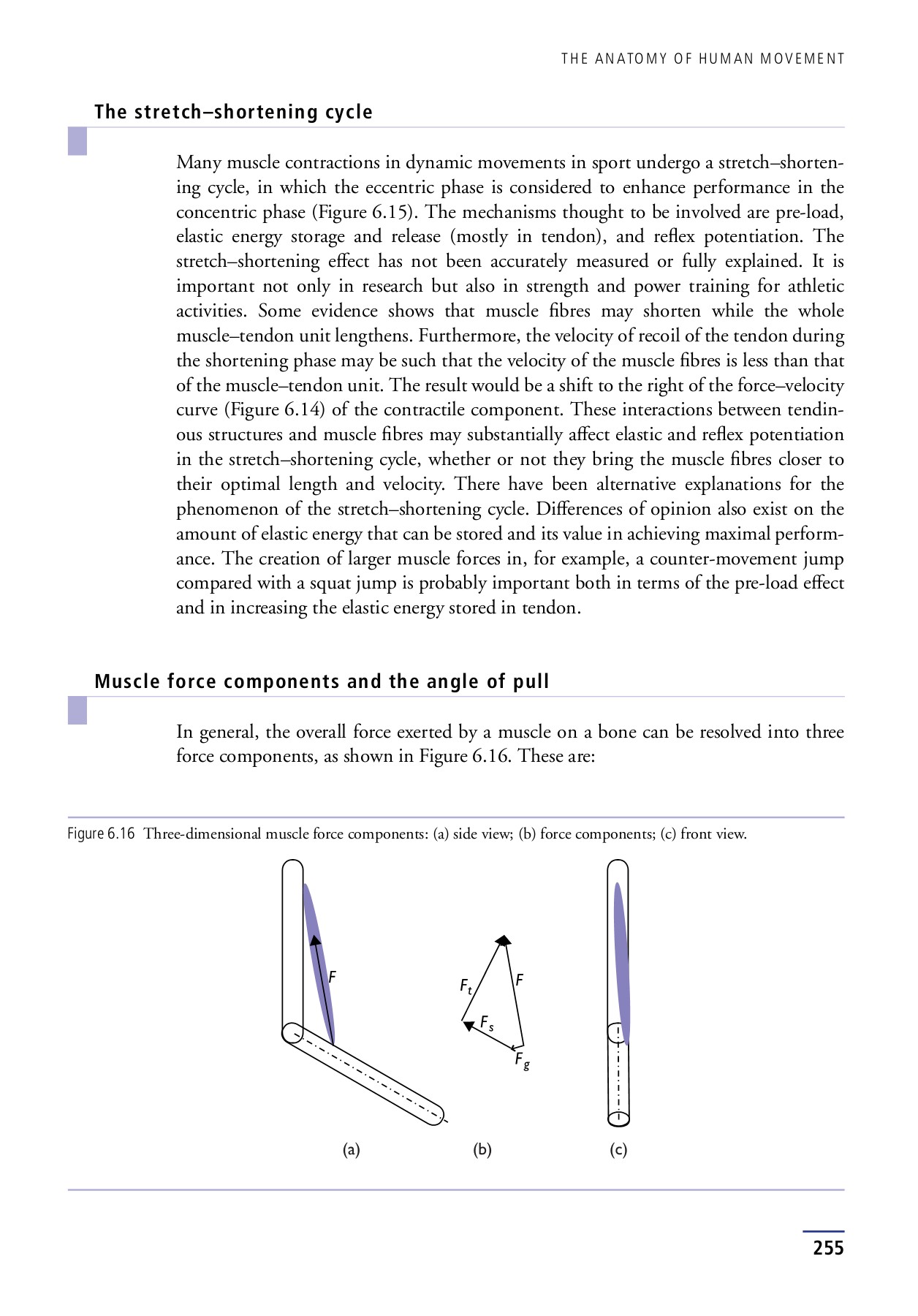 Introduction to Sports Biomechanics - Analysing Human Movement Patterns ...