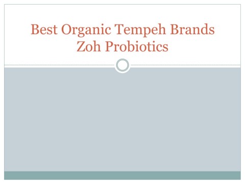 Best Organic Tempeh Brands Zoh Probiotics