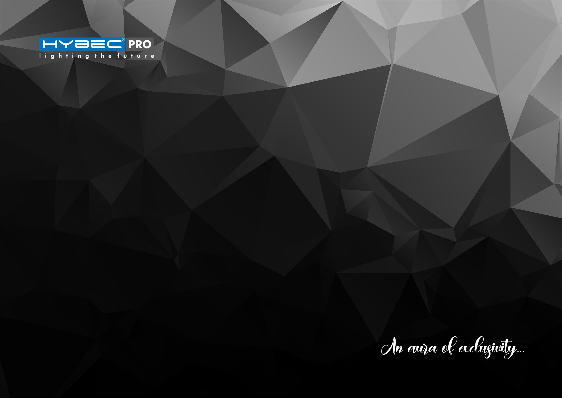 HYBEC PRO SERIES - marketing - Page 1 | Flip PDF Online | PubHTML5