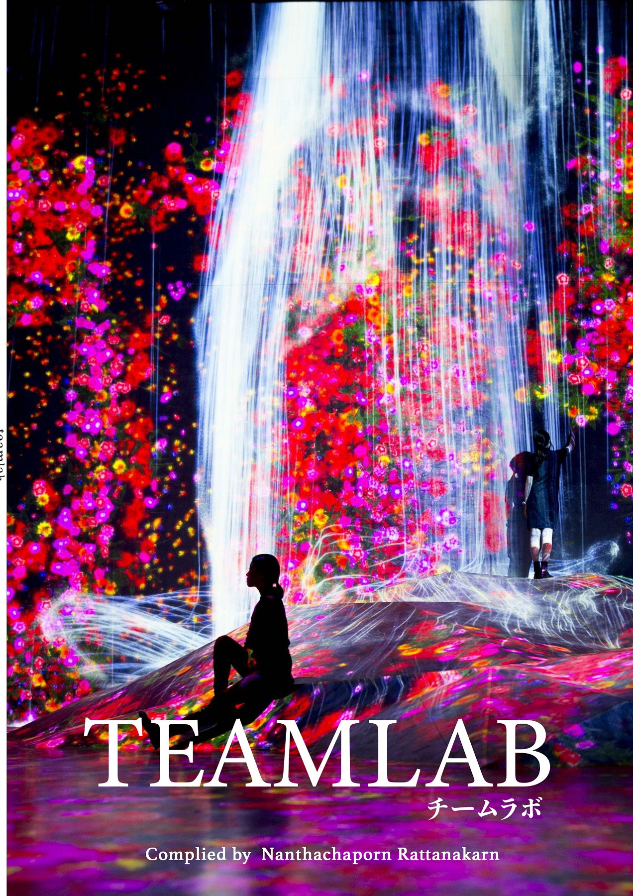 TEAMLAB - Kachornpon - Page 1 - 67 | Flip PDF Online | PubHTML5