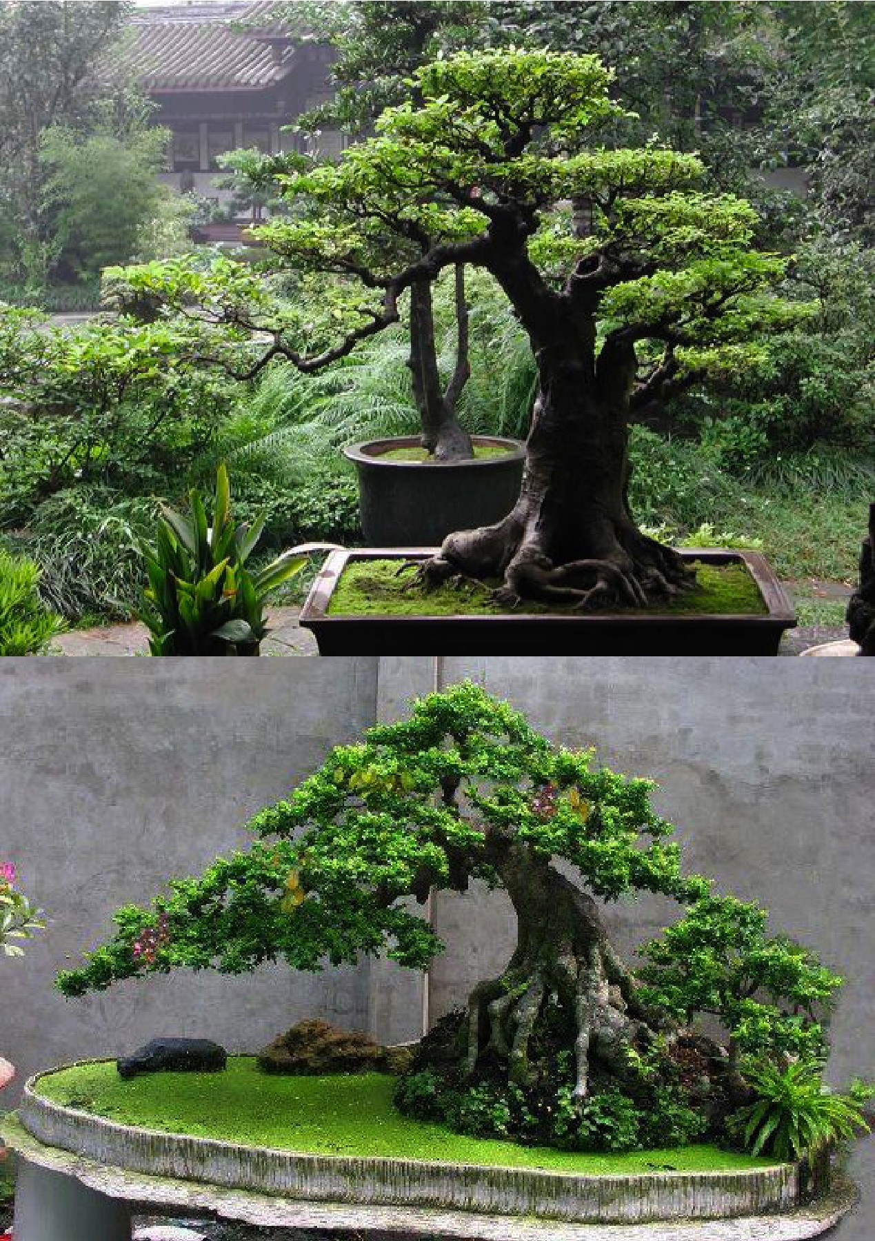 JAPANESE GARDEN - Kachornpon - หน้าหนังสือ 17 | พลิก PDF ออนไลน์ | PubHTML5