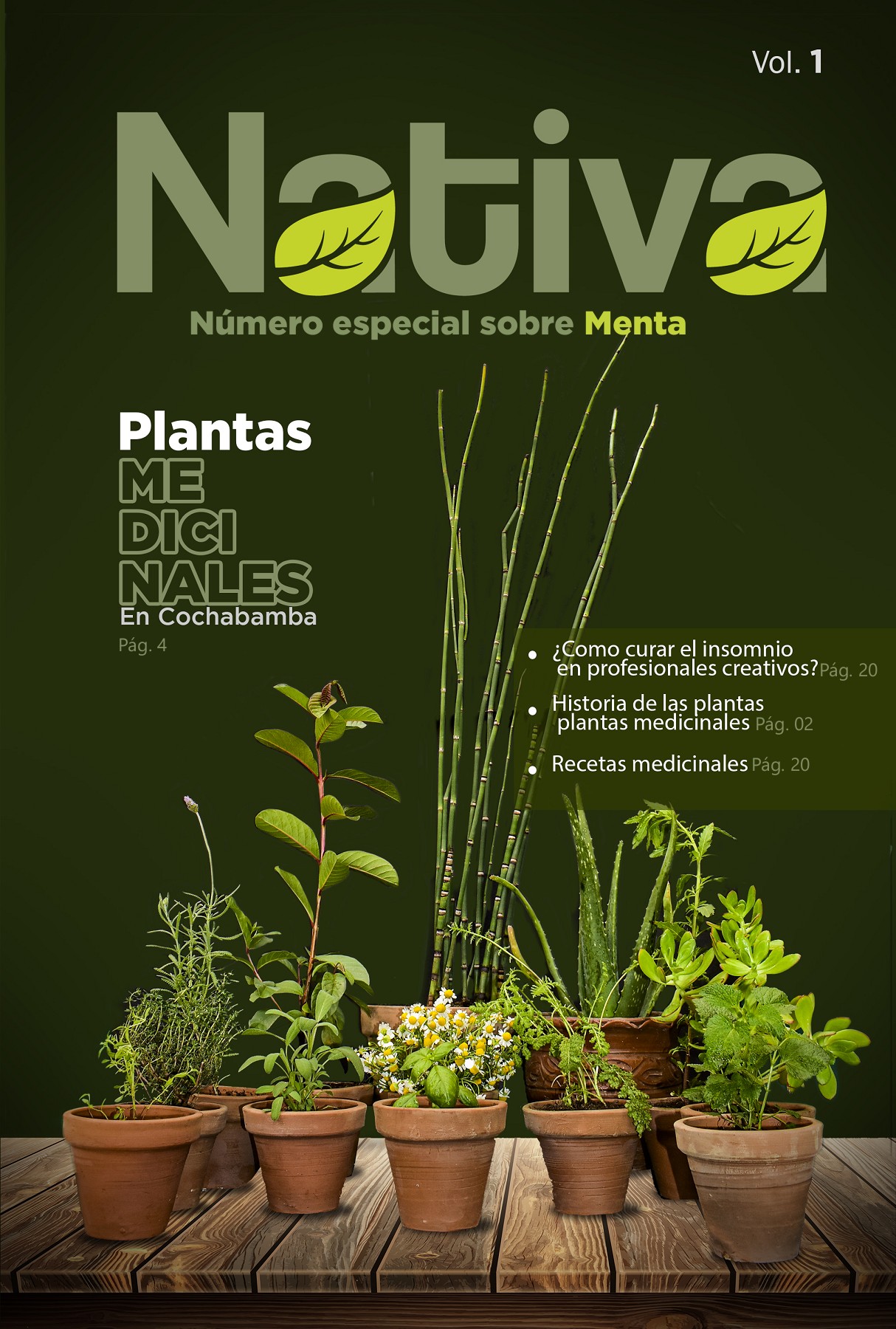 Revista Nativa Castel Tatiana - Condori Daniel - TATIANA CASTEL ONOFRE ...