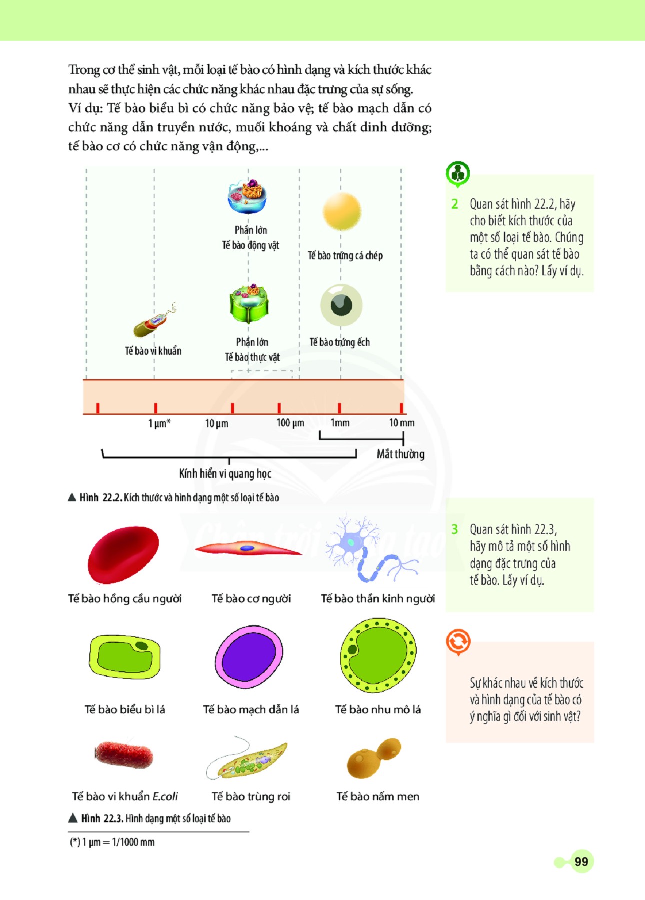 SGK - KHTN 6 - CTST - Huyền Mama - Trang 100 | PDF lật trang trực tuyến | PubHTML5