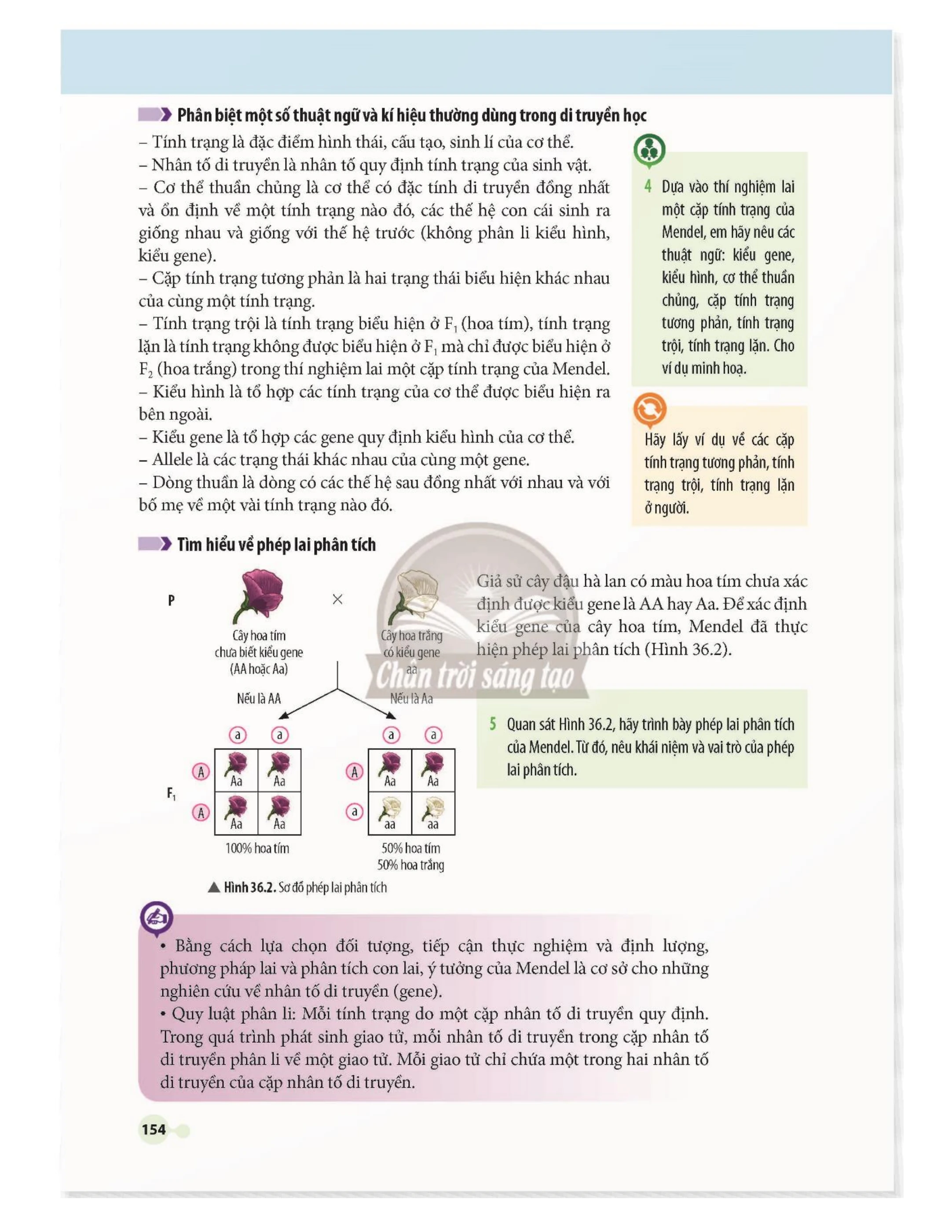 KHTN 9 - CTST - SGK - Nguyen Ha Thao Trang - Trang 156 | PDF lật trang trực tuyến | PubHTML5