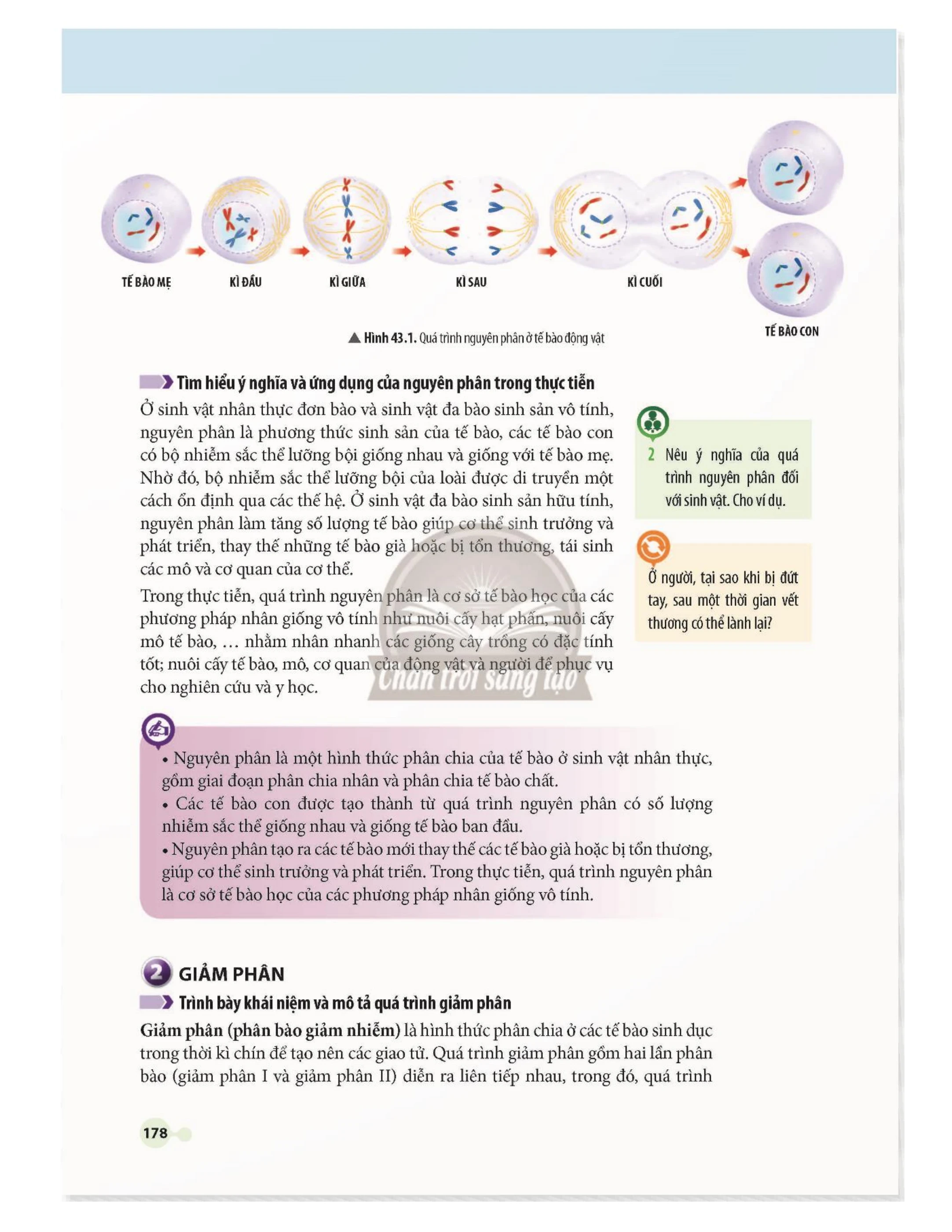 KHTN 9 - CTST - SGK - Nguyen Ha Thao Trang - Trang 180 | PDF lật trang trực tuyến | PubHTML5