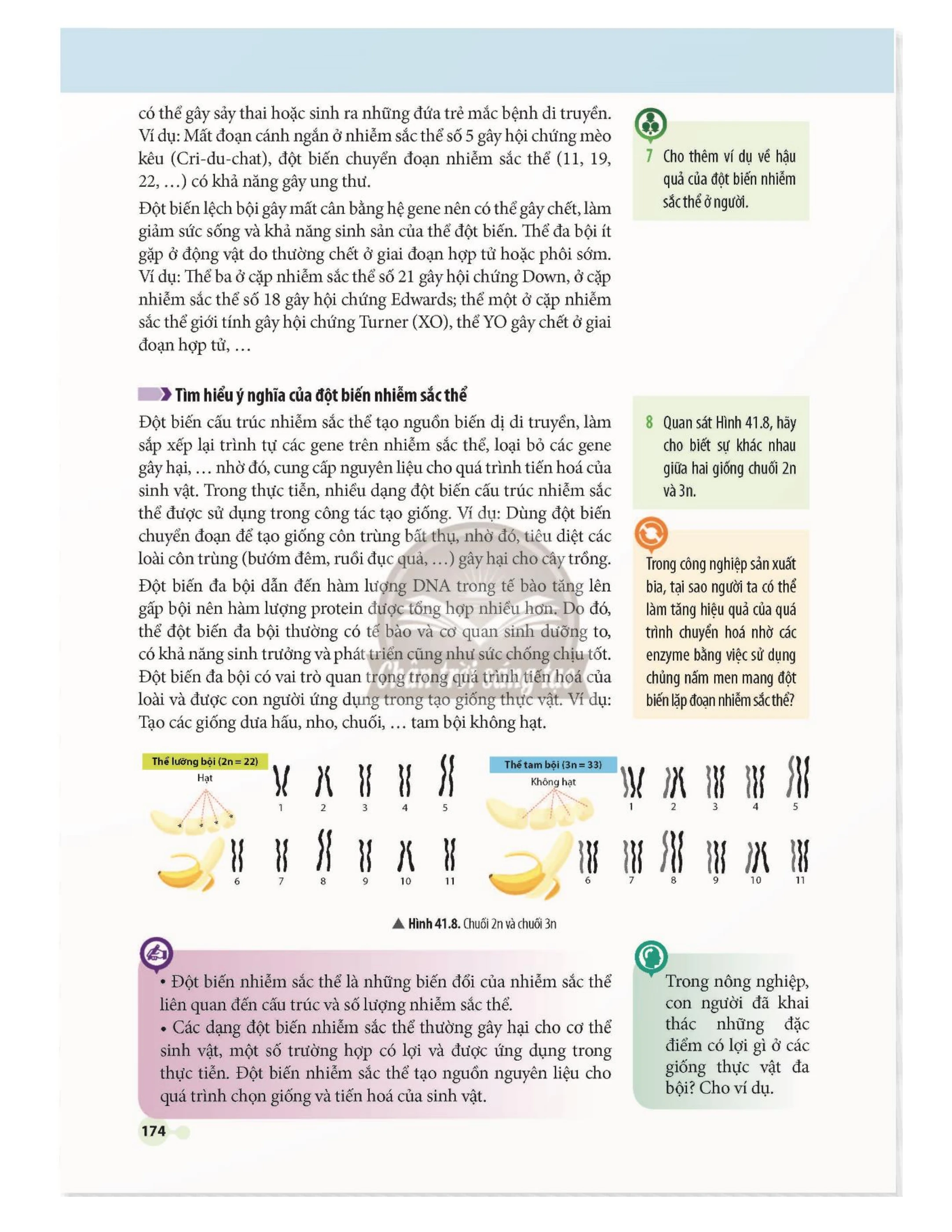 KHTN 9 - CTST - SGK - Nguyen Ha Thao Trang - Trang 176 | PDF lật trang trực tuyến | PubHTML5