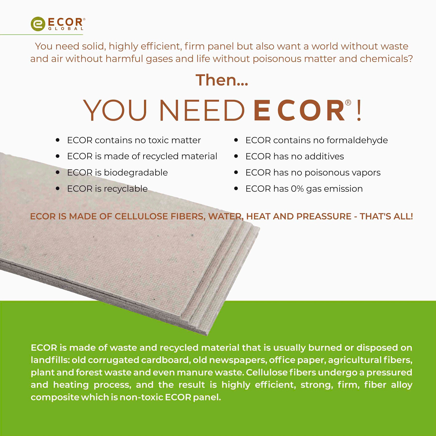 ECOR 2021 Catalogue ENG - Ana Milasinovic - Page 2 | Flip PDF Online ...