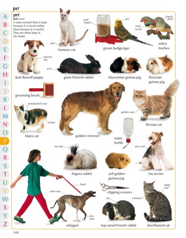 Childrens Illustrated Dictionary - ห้องสมุดเฉลิมพระเกียรติ ๕๐ พรรษา ...