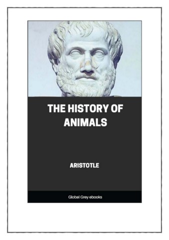 history-of-animals(แมว 4)