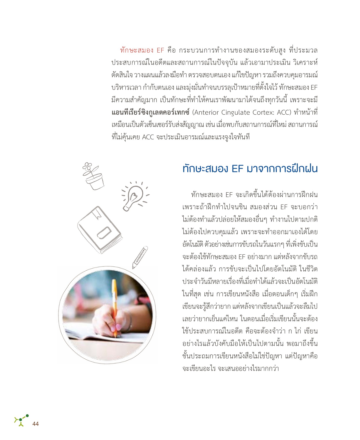 คู่มือพัฒนาทักษะสมอง EF Executive Functions ในเด็กวัย 7-12 ปี สำหรับพ่อแม่และครู - ห้องสมุดเฉลิม ...