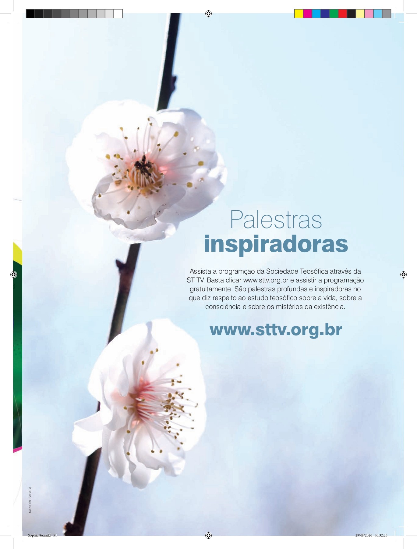 Revista Sophia nº 86 - Editora Teosofica - Página 51 | PDF Online ...