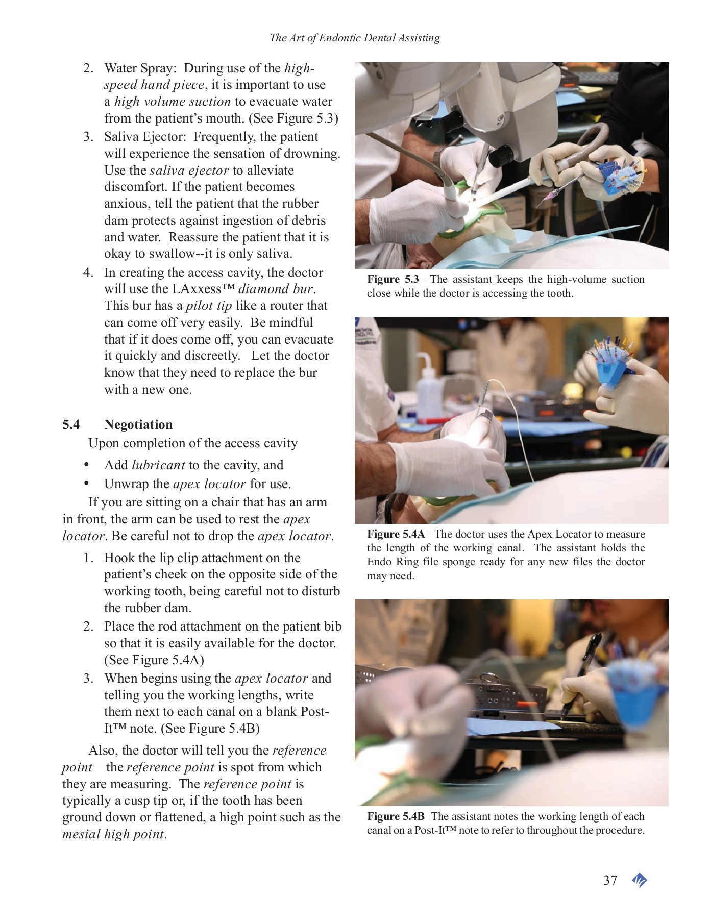 The Art of Endodontic Assisting - Katie - Page 45 | Flip PDF Online ...