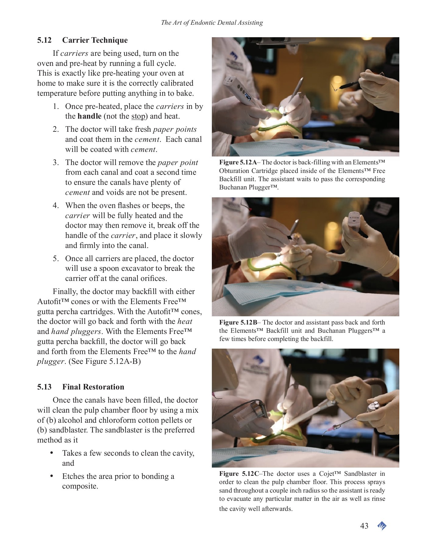 The Art of Endodontic Assisting - Katie - Page 51 | Flip PDF Online ...