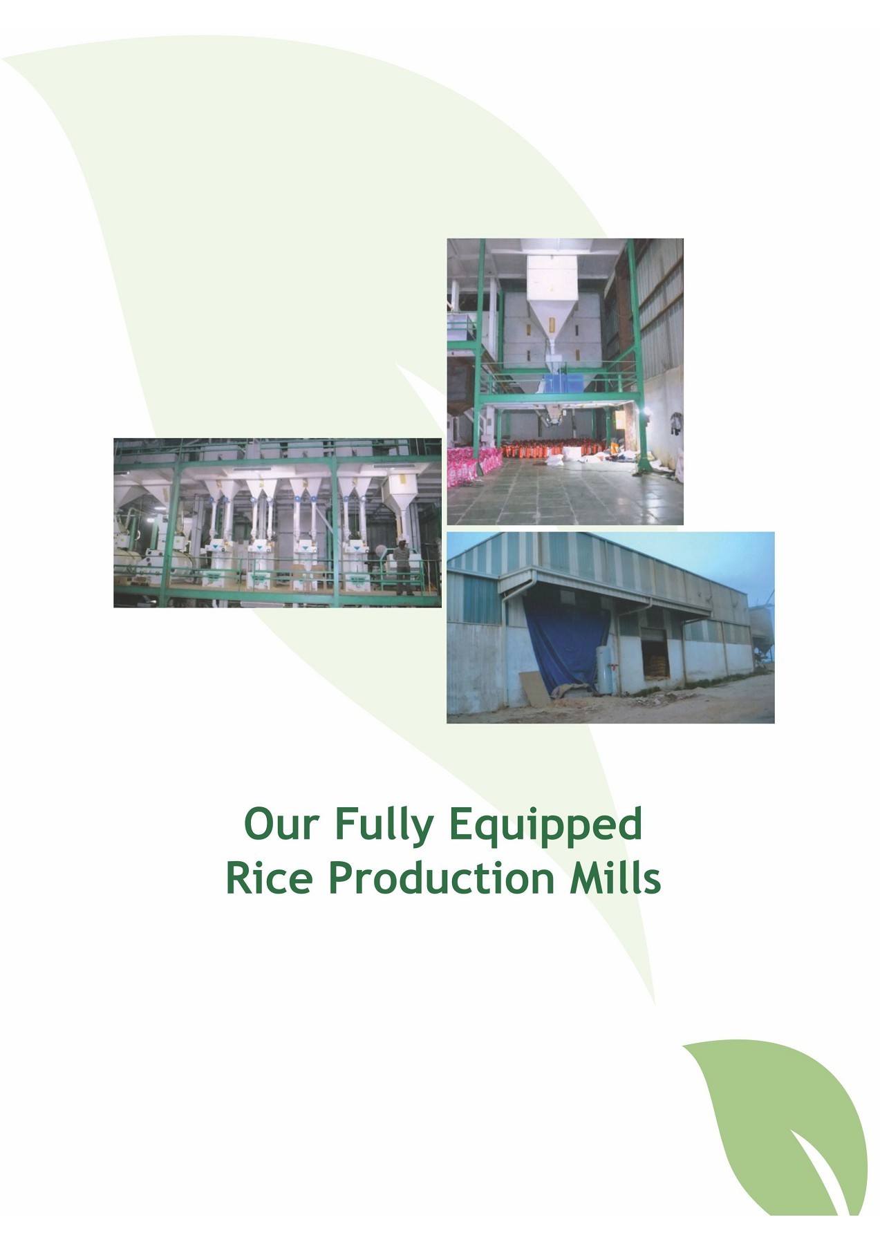 Rice Brochure Page-01 (8 files merged) - dev - Page 7 | Flip PDF Online ...