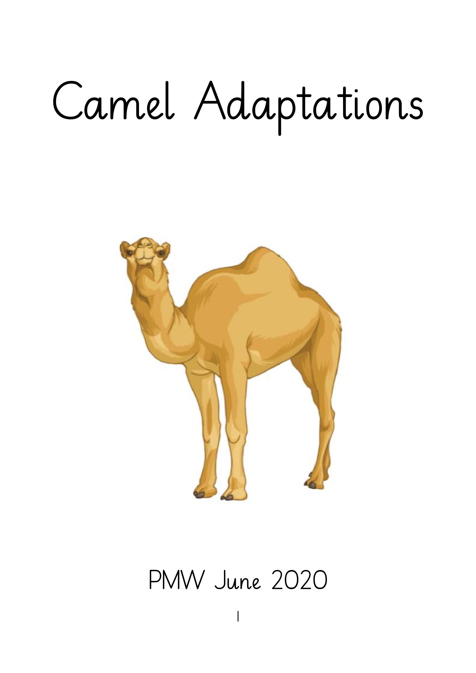 Camel Adaptations - ebook - white.p - Page 1 - 13 | Flip PDF Online ...