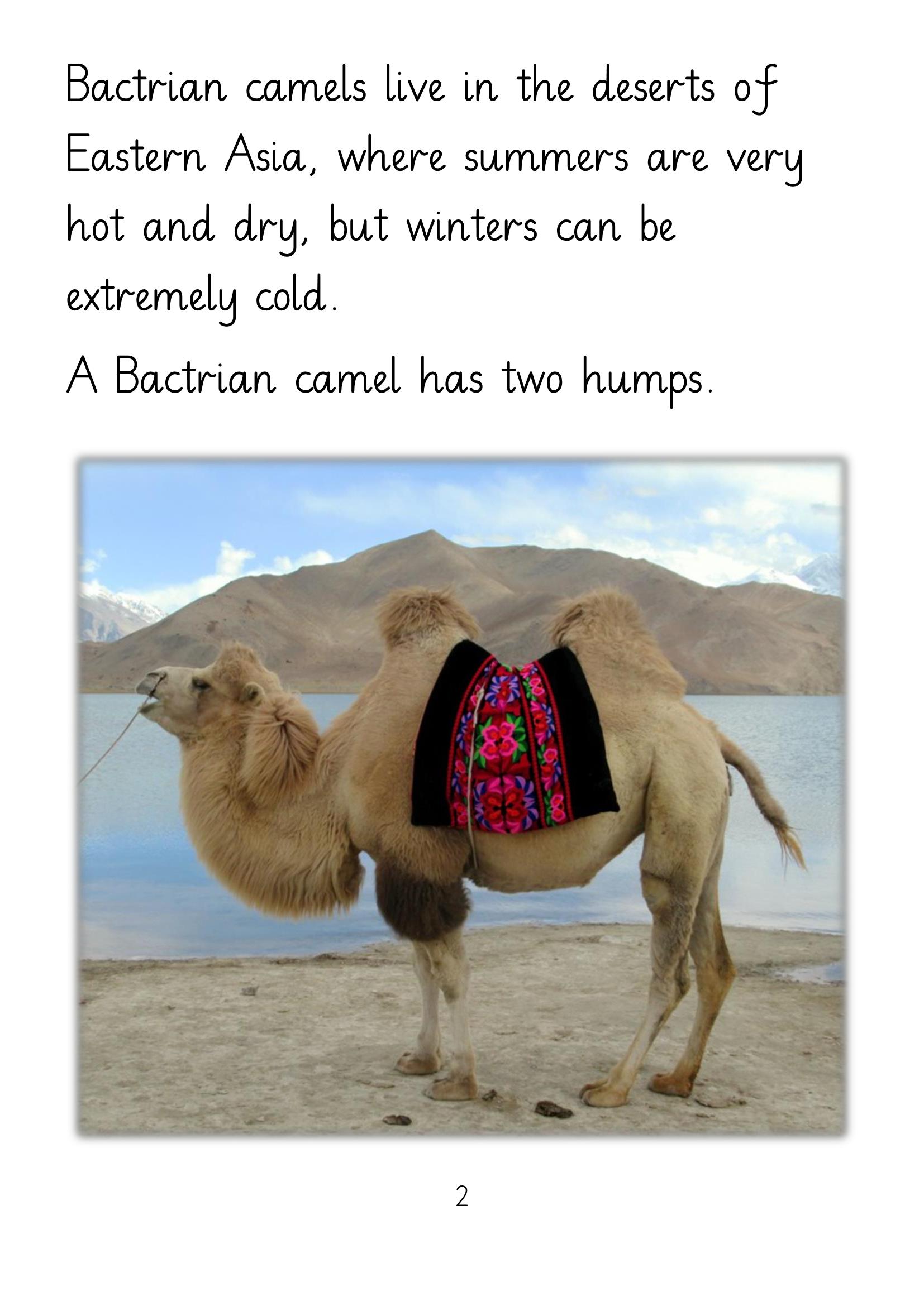 Camel Adaptations - ebook - white.p - Page 2 | Flip PDF Online | PubHTML5