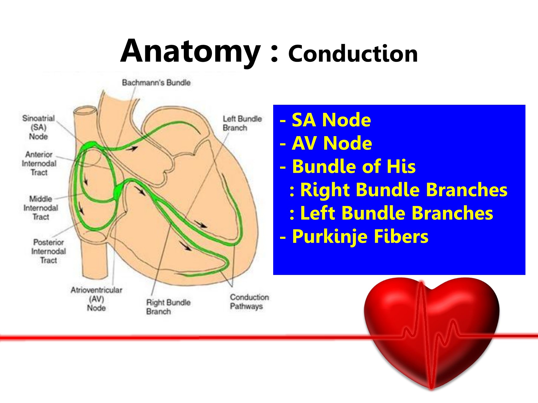 Basic EKG for Nurse - porntana22 - Page 10 | Flip PDF Online | PubHTML5