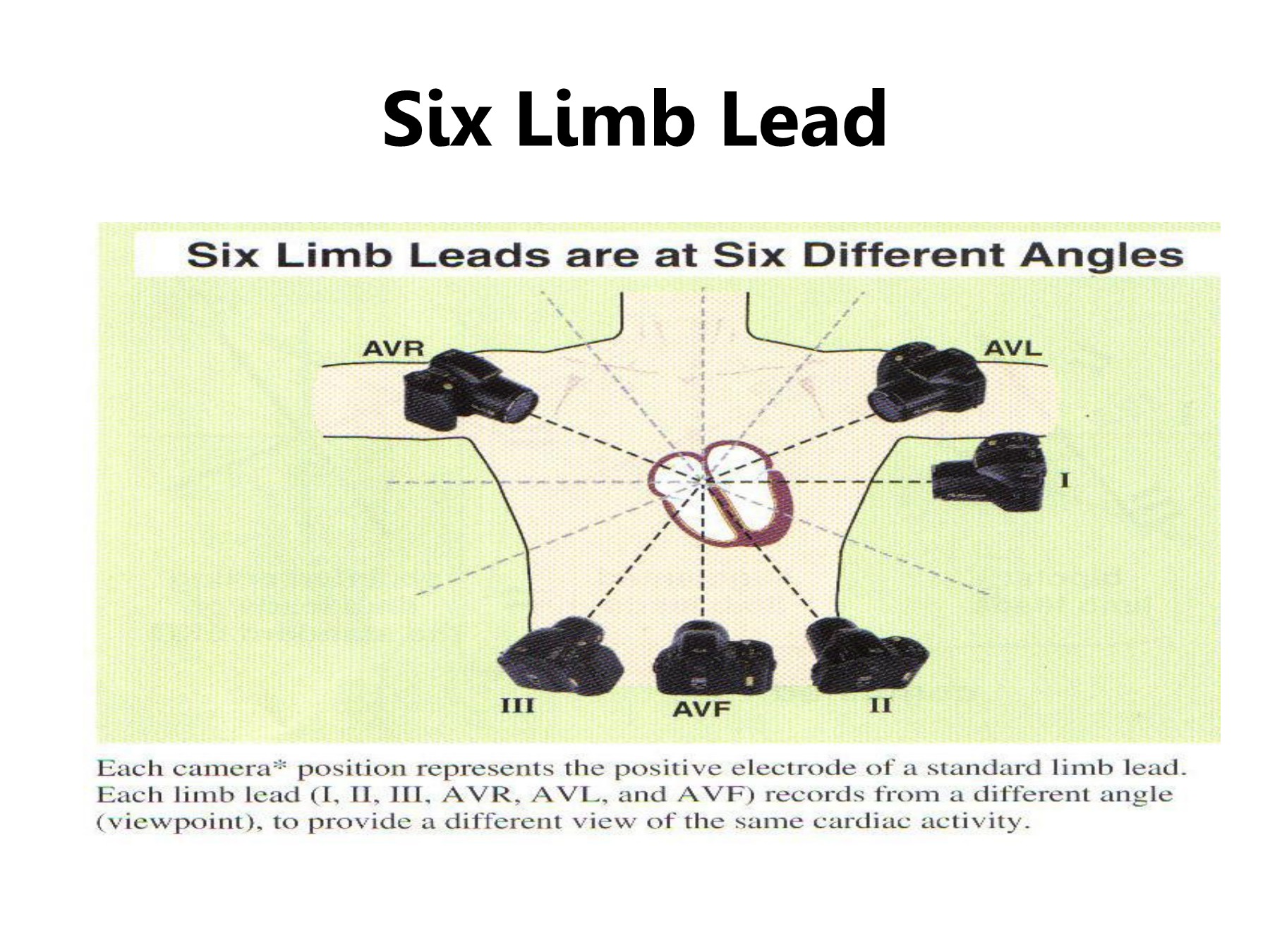 Basic EKG for Nurse - porntana22 - Page 41 | Flip PDF Online | PubHTML5