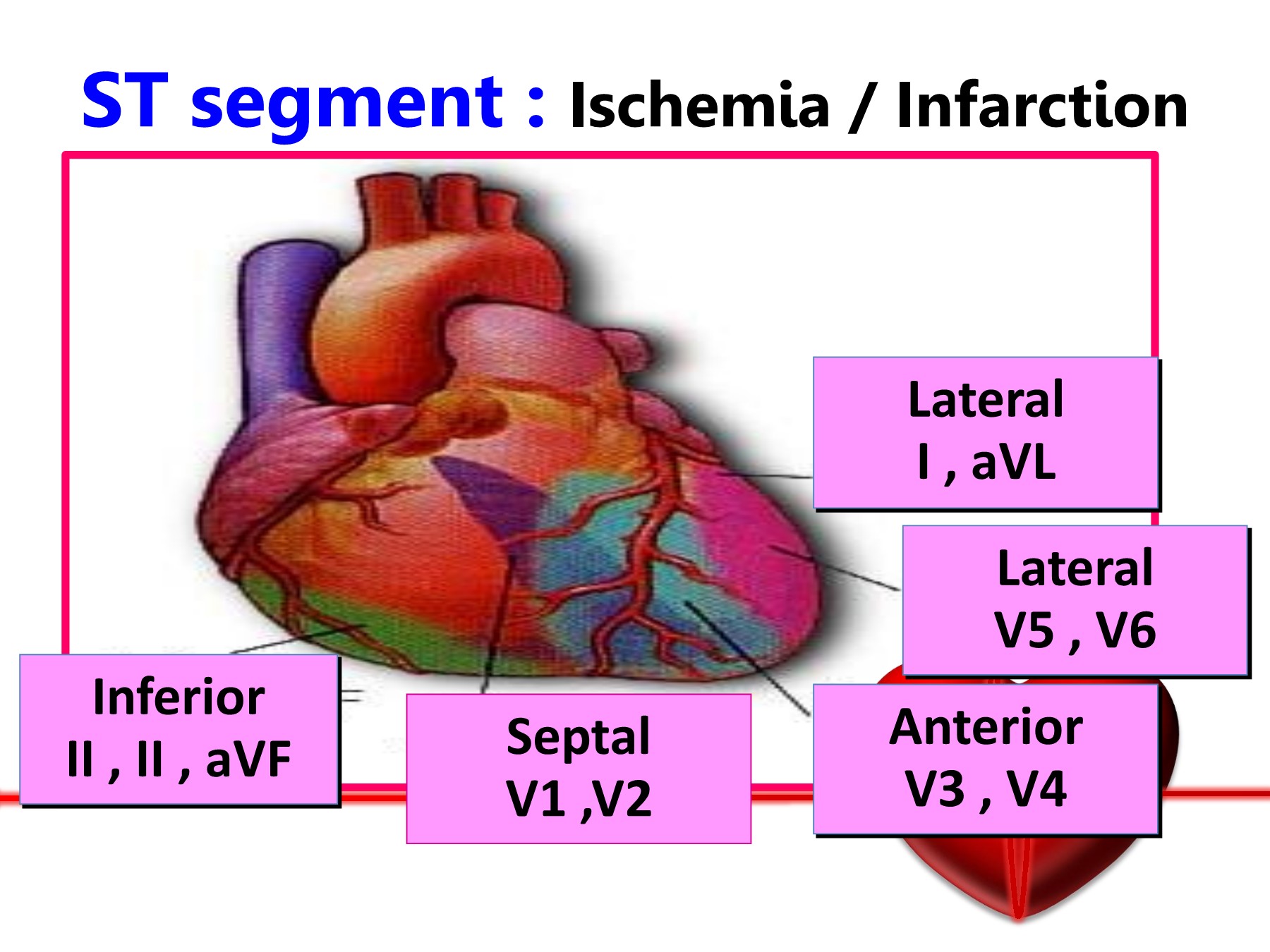 Basic EKG for Nurse - porntana22 - Page 78 | Flip PDF Online | PubHTML5