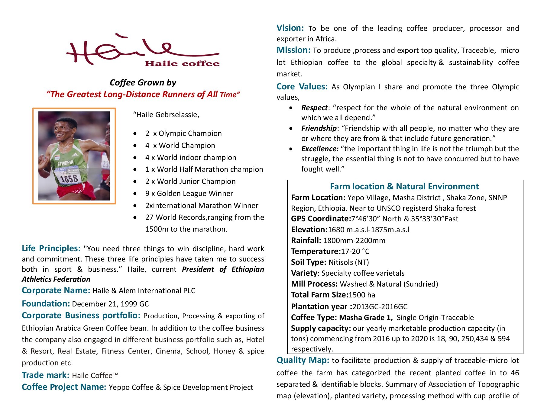 HAILE COFFEE BROCHER final - biniyambizu - Page 1 - 3 | Flip PDF Online ...