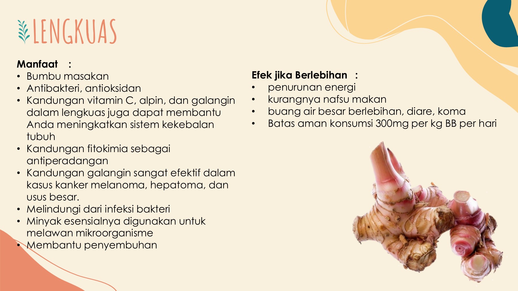 Materi 1 - Kulwap Rempah dan Rimpang - berkebun iptangsel2020 - Halaman ...