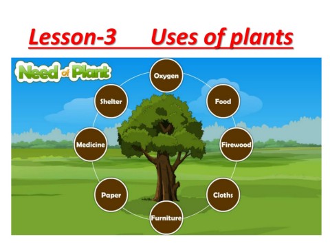 Lesson-3 Uses of plants G-2 - MENUKA KHANAL - Page 1 - 30 | Flip PDF ...