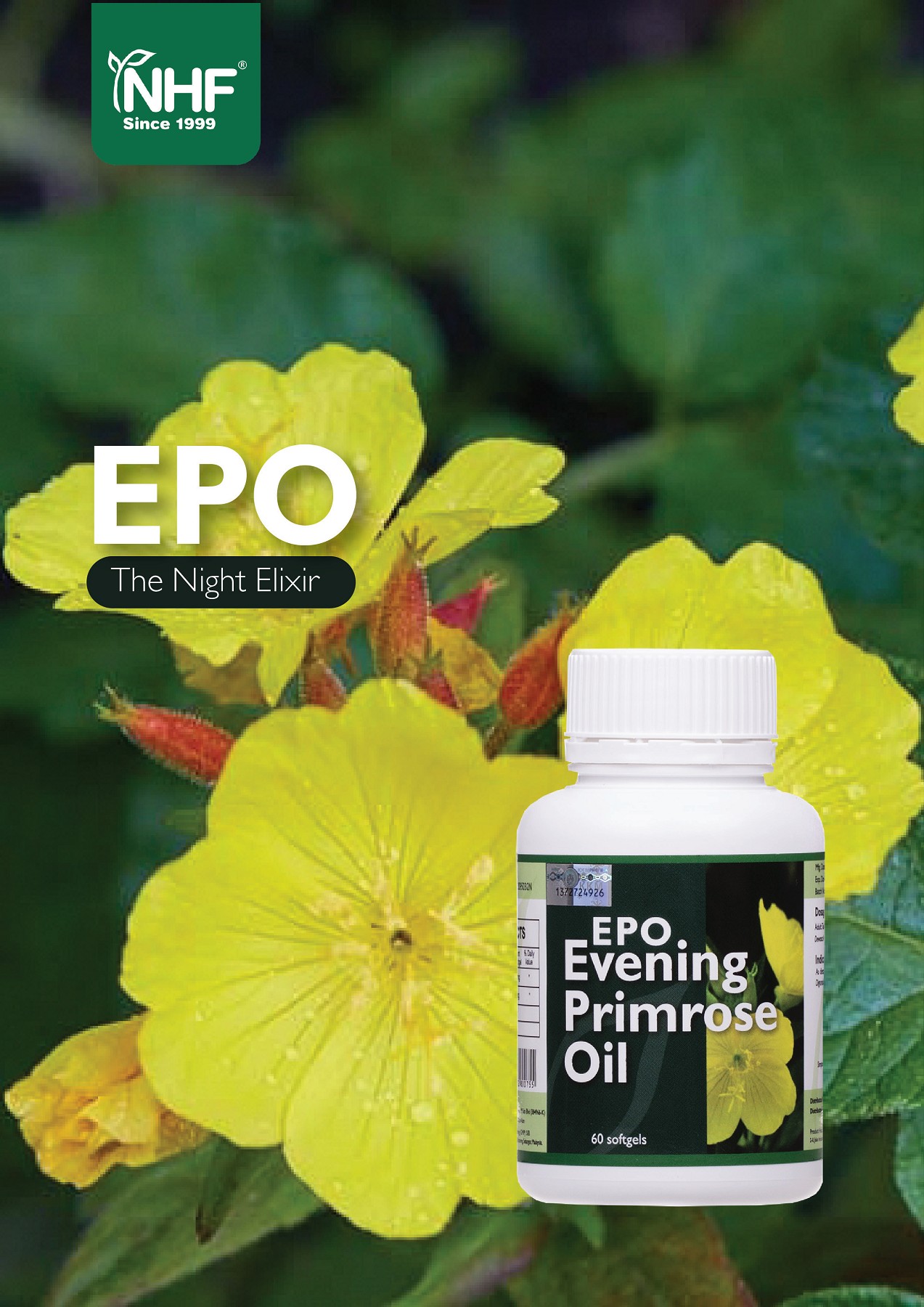 EPO EN - marketingnhf - Page 1 - 14 | Flip PDF Online | PubHTML5