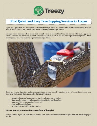 Find Quick and Easy Tree Lopping Services in Logan