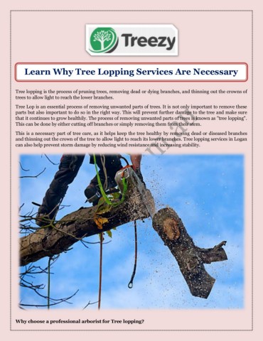 Learn Why Tree Lopping Services Are Necessary