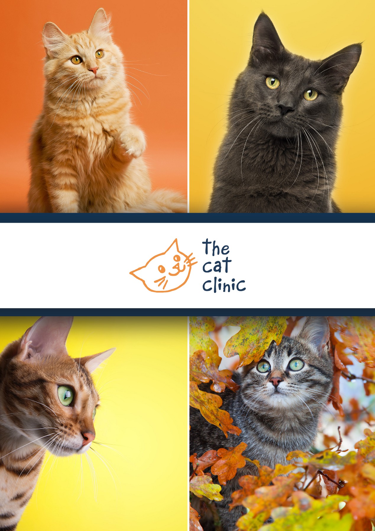 18854_Cat Clinic_Digital Welcome Booklet_A5 - katie - Page 1 - 16 ...