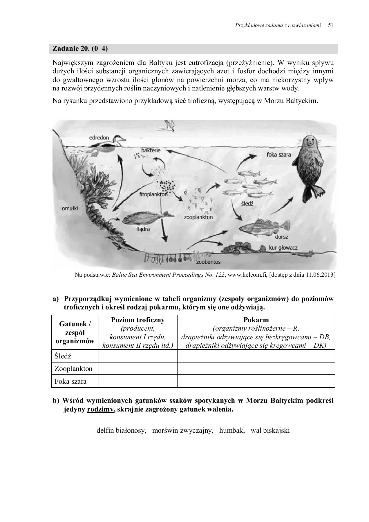 Projekt - Pati - Strony 51 | Przerzucanie PDF Online | PubHTML5