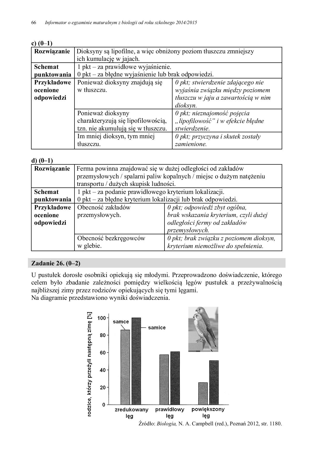 Projekt - Pati - Strony 66 | Przerzucanie PDF Online | PubHTML5