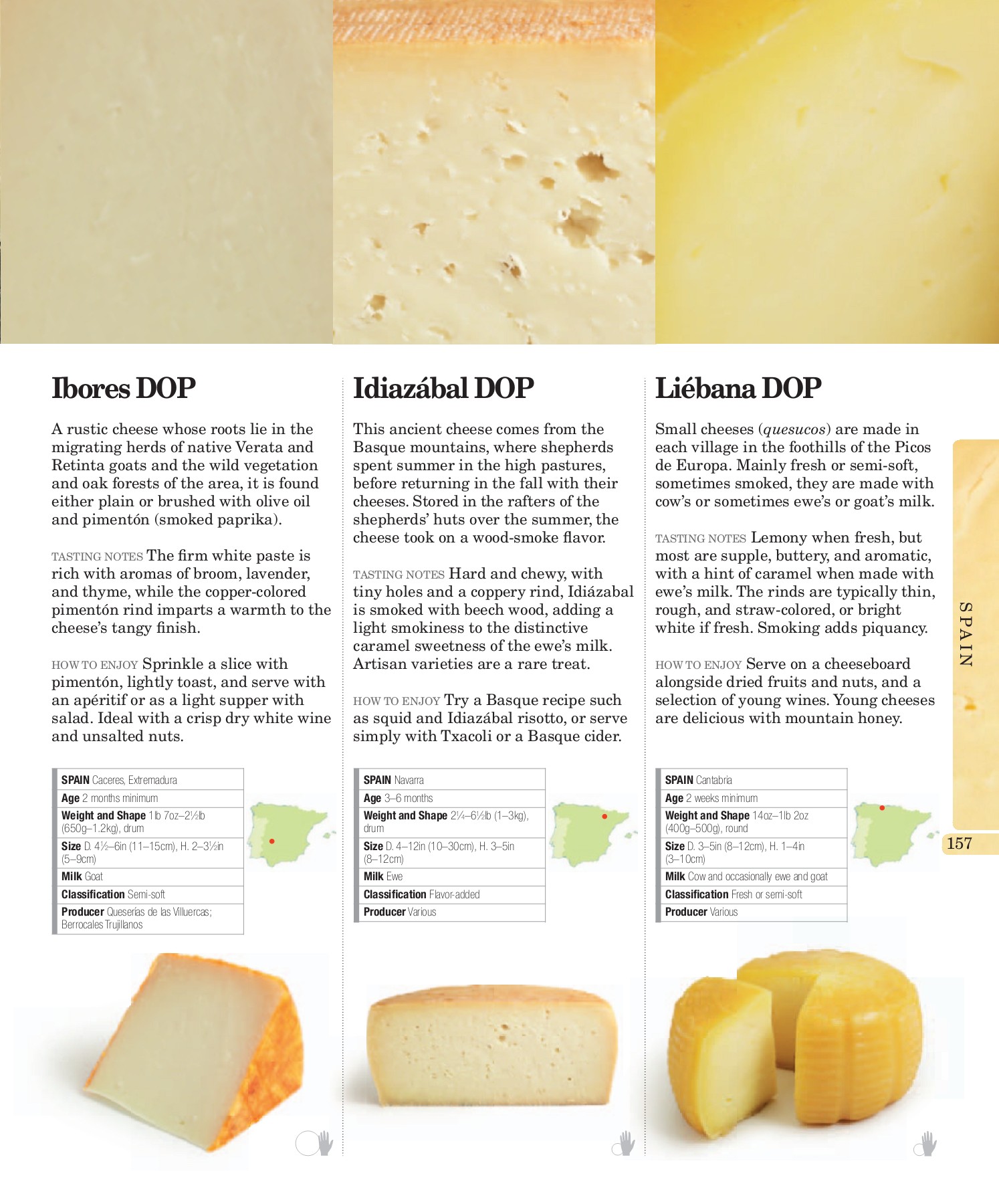 The World Cheese Book - yuliandani - Page 159 | Flip PDF Online | PubHTML5