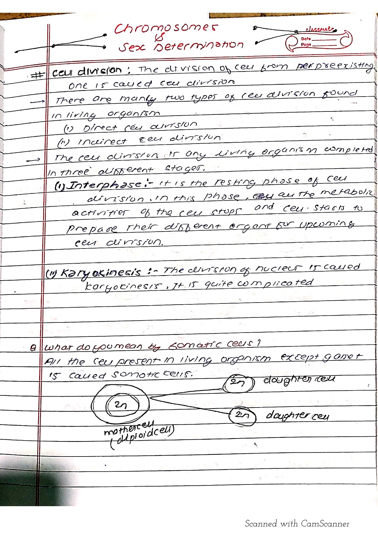 Chromosomes and Sex Determination - Class 10 Science - Bibek Kushwaha ...