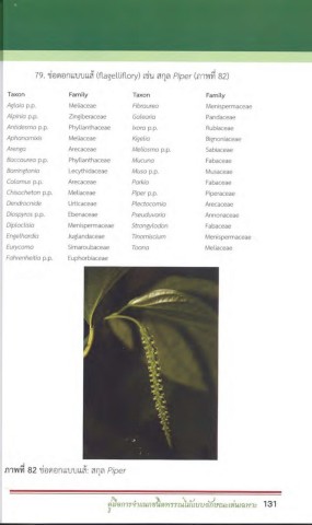 Plant_Identification_Handbook - E- book Library กศน.ตําบลแพรกษา - Page 138 | Flip PDF Online ...
