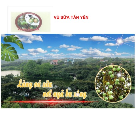 QR code Vu sua Tan yen - Binh Hoang - Page 1 - 8 | Flip PDF Online | PubHTML5