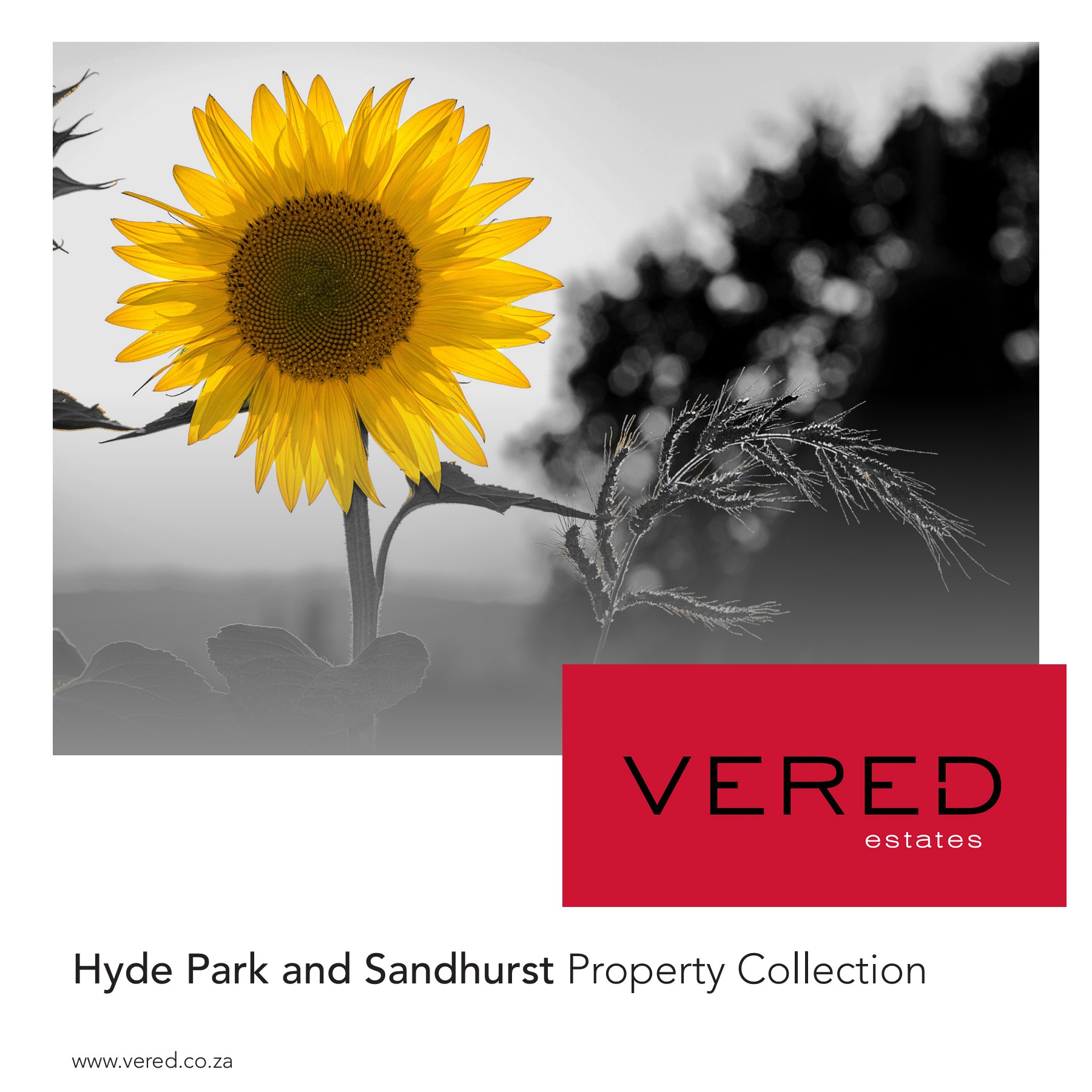 Hyde Park and Sandhurst Property Collection - jerome - Page 1 - 19 ...