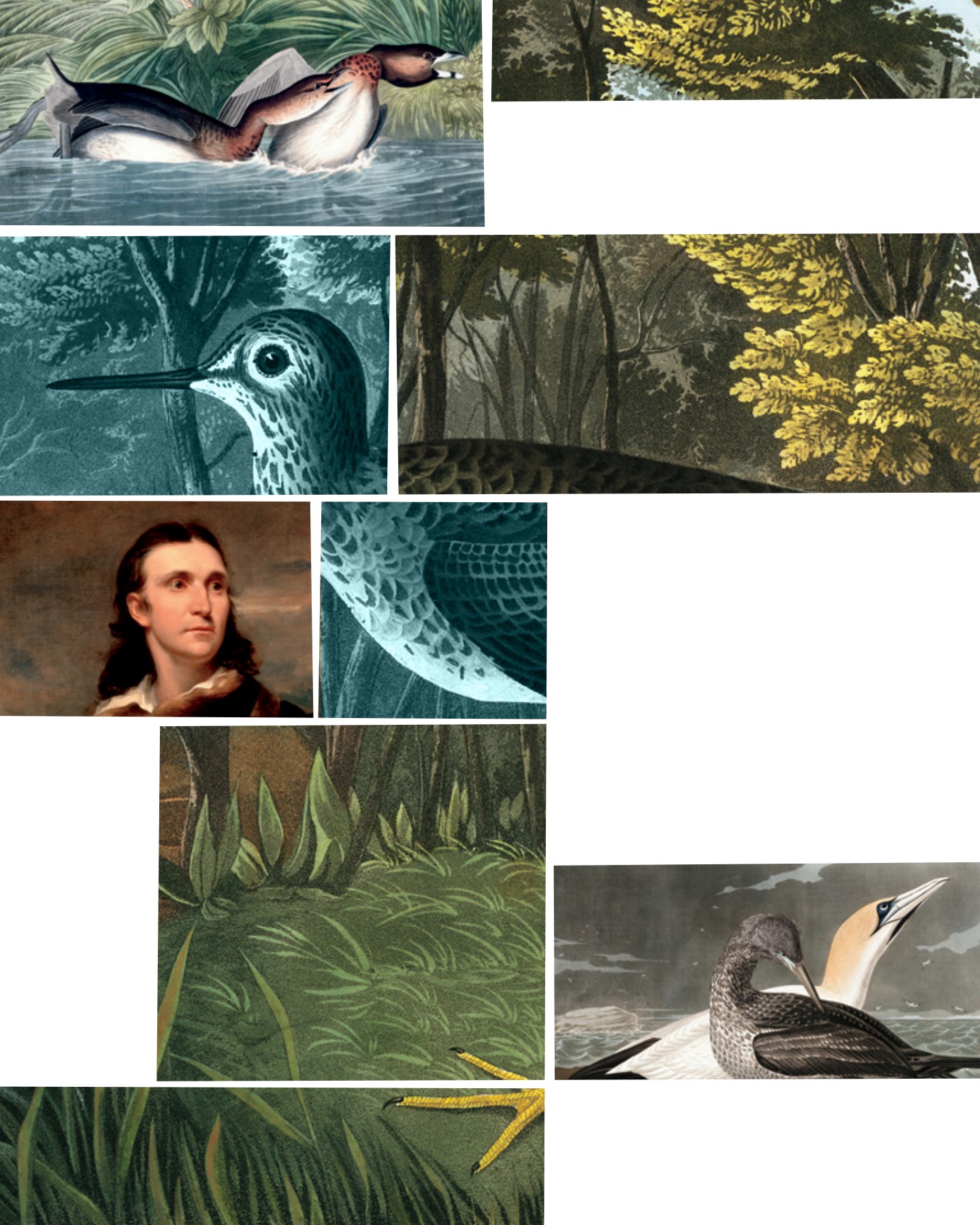 Jacob Ricks Portfolio - ricks.jacobt - Page 124 | Flip PDF Online ...