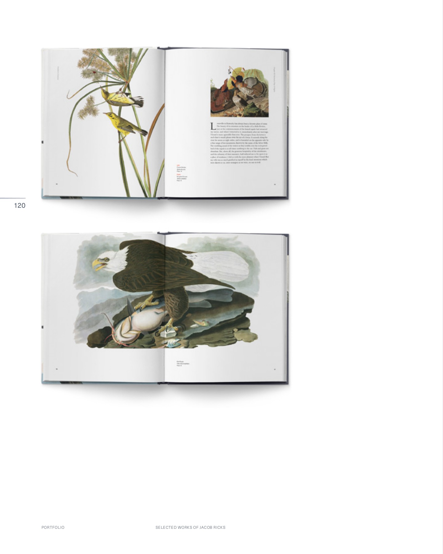 Jacob Ricks Portfolio - ricks.jacobt - Page 134 | Flip PDF Online ...
