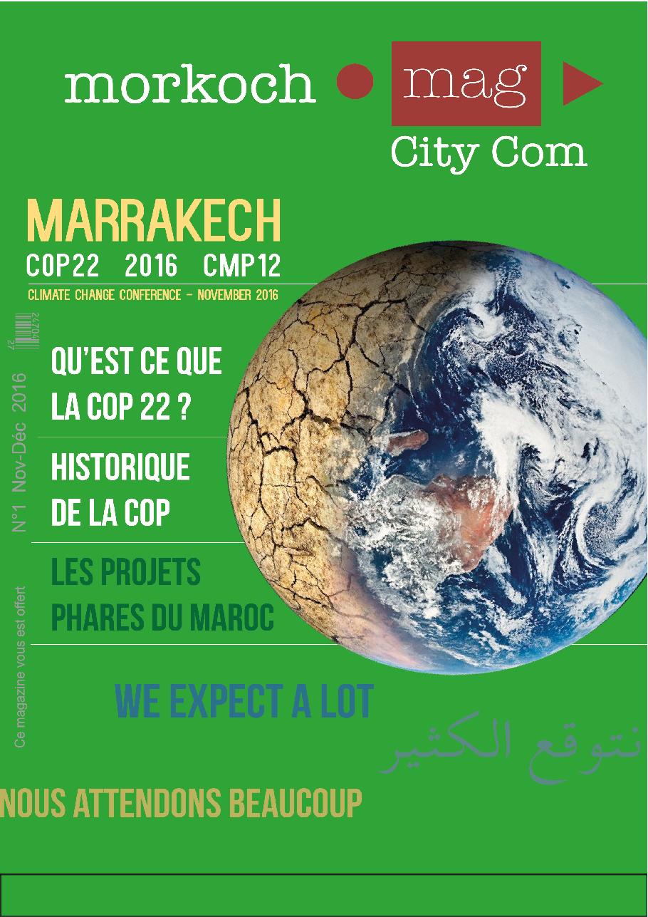 cop 22 pdf